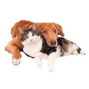 Coat Health Dog Treats - Pets Hair and Coat Boost - for Dogs and Cats - Supports Healthy Skin Hair Nails - Vitamin b3 for Dogs - 2 Bottles (120 Tablets)