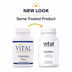 Vital Nutrients - Carnitine - Cardiovascular and Fat Metabolism Support - L-Carnitine Supplement - Heart Health Support - Supports Fatty Acid Transport - 60 Vegetarian Capsules per Bottle - 500 mg