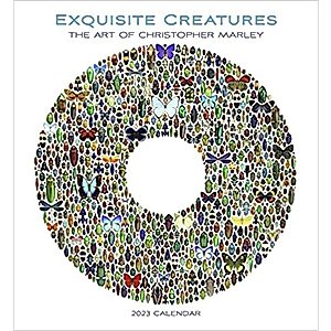 2024 EXCUISIT CREATURES THE ART OF CHRISTOPHER MARLEY CALENDAR WITH 1 FREE YEAR PLANNER (10 DOLLAR VALUE)