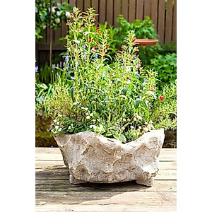 Bosmere Pot Toes, Plant Pot Risers for Indoor and Outdoor, Prevent Stains and Rotting on Wood, Cement, and Tile - Black (Pack of 12)