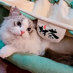 Kimruule Cat Tunnels for Indoor Cats, 2-in-1 Cat Tunnel Bed with Cat Toys Collapsible Cat Tunnel Tubes Toys with Removable Mat for Cats Kittens Ferret Rabbits Bunnies (Green)