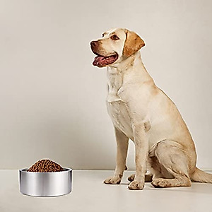 100 OZ Large Dog Water Bowl Stainless Steel Dog Bowls No Spill Heavy Dog Food Bowls with Non-Slip Rubber Bottom Double Wall Insulated Metal Pet Cold Water Bowl Dog Bowls for Large Dogs Outdoor