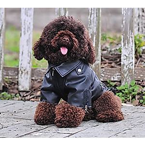 Lovelonglong Cool Dog Leather Jacket, Warm Coats Dogs Windproof Cold Weather Coats for Large Medium Small Dogs, Beagle Clothing Black L-S