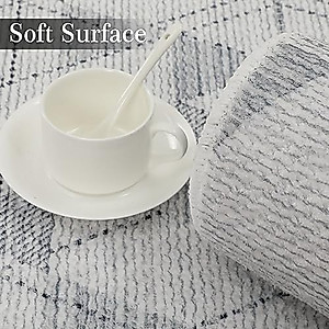 GAOMON Modern Area Rug 5x7 Modern Distressed Rug Ultra Soft Indoor Fuzzy Floor Cover for Living Room Bedroom Non-Slip Non-Shedding Home Office Floor Carpet Low Pile Contemporary Abstract Rug Grey