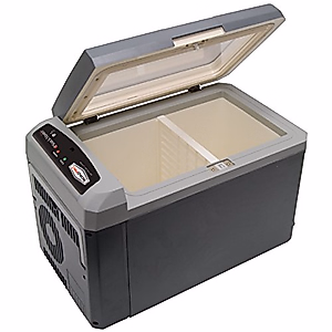 RoadPro RP5653SF 12-Volt Snackmaster Cooler/Warmer, Medium, Gray