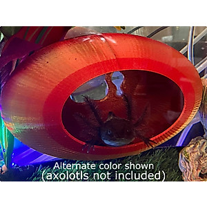 Stroodies Giant Bubbleloft Hide for Arboreal Geckos | Especially Adult Cresties | Includes 4X Suction Cups | (LeafGreen)