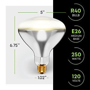 250R40/1 250-Watt, Incandescent R40 Reflector, Clear Head Lamp, Heat Flood Lamp Light Bulb, E26 Standard Medium Screw Base, 120V, 6,000 Hour Rated (Pack of 2-Clear-Heat Lamps)
