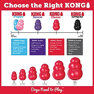 KONG Marathon - Pet Supplies for Training & Playtime - Healthy Dog Treat Dog Toys - for Large Dogs - Chicken Flavor - 2 Pack (4 Pieces Total)