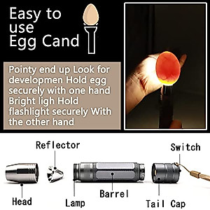 ZZBUY Egg Candler, Egg Incubator Light【2024 Upgraded Charger】,Egg Candler candling Checker Light for Chicken Quail Dark Canary Pigeon All Eggs Battery Powered(Include Egg Candling Guide)