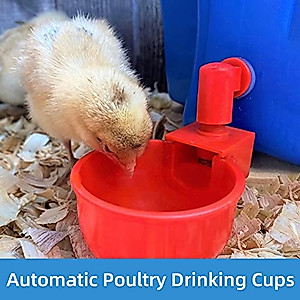 12 Pcs Chicken Waterer Cups Automatic Poultry Drinking Bowl Feeder, 1/8 Inch Thread Auto-Fill Drinking Bowl for Chicken Duck Turkey Bird Rabbit (Red)