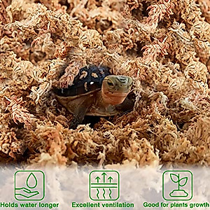 Halatool 3OZ Natural Sphagnum Moss for Plants 2 QT Premium Peat Moss Dried Long Fiber Orchid Moss for Orchid Repotting Carnivorous Succulents Garden Flowers Crafts Terrarium and Reptiles