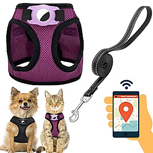 JVVGPET Dog Harness with Airtag Holder for Small Dogs, Puppy, Cats - No Pull Step in Small Dog Harness and Reflective Dog Leash Set for Walking Training Travel Grooming Outdoor
