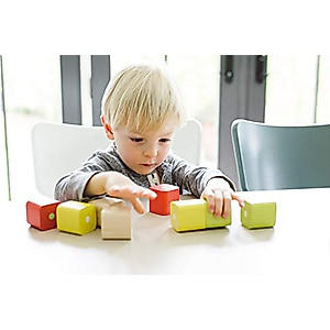 Tegu 15 Piece Magnetic Baby’s First Building Blocks, Tints