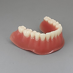 Dental Teeth Model Precision 4 Implant Overdenture Inferior Tooth Golden Color
