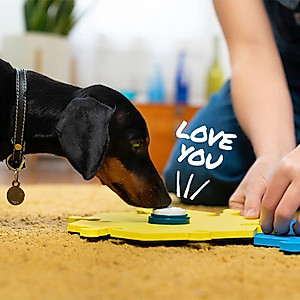 FluentPet Sound Button Tester Kit - Dog Buttons for Communication - Compact Talking Buttons for Dogs and Cats - Dog Talking Button Set with 2 Recordable Buttons and 2 Compact HexTile Soundboard Mats