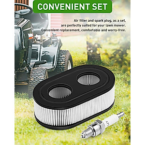 593260 Air Filter, 798452 334404 Air Cleaner Cartridge Filter, 2PCS Walk Behind Lawn Mower Air Fliter with 1PCS Spark Plug for 4247 5432 5432k 09P00 09P702 550E 500EX 550EX 625 575EX