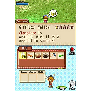 Harvest Moon: Grand Bazaar - Nintendo DS