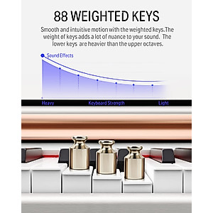 Donner DDP-100 88-Key Weighted Action Digital Piano, Beginner keyboard piano Bundle with Furniture Stand, Power Adapter, White