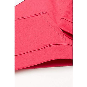 Nike Baby Girl's Sueded Fleece Iridescent Logo Pullover Hoodie (Toddler) Rush Pink 2 Toddler