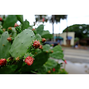 Fujinon XF14mmF2.8 R (Renewed)