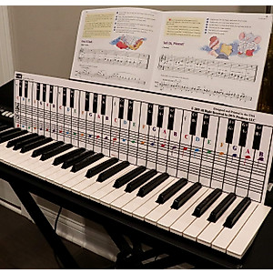 QMG Piano and Keyboard Note Chart, Use Behind the Keys, Ideal Visual Tool for Beginners Learning Piano or Keyboard, Easy to Set Up, for any Medium to Full Size Piano or Keyboard, Cover Four Octaves