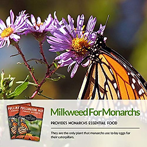 Pollinator Seed Mixture to Attract Monarch Butterflies, Bees & Pollinators - 1 Packet - Milkweed, Garden Flower, & Wildflower Mix for Planting - Support Conservation Efforts - Survival Garden Seeds