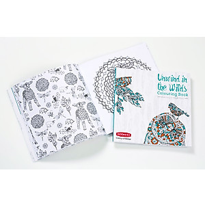 Adult Coloring Book and Coloursoft Colored Pencils: Color and Relax - Unwind in the Wilds by Derwent (2302339)