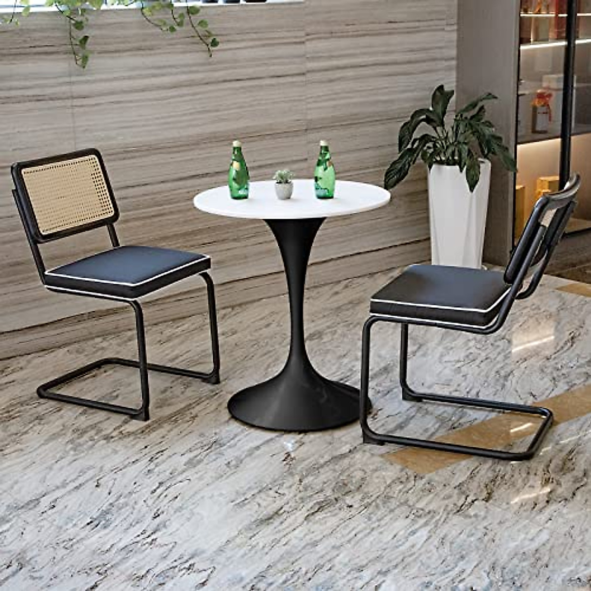 MeetLeisure Patio Dining Chair Set of 2 with Waterproof Design Fabric for Outdoor Mid-Century Modern Chairs with Metal Chrome Legs, Armless Mesh Back Cane Chairs, Black