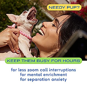 Native Pet Yak Chews for Dogs (5 Small Chews). Pasture-Raised and Organic Himalayan Churpi Chew. Long Lasting, Low Odor, and Protein Rich Reward Treat.