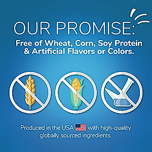 Fruitables Real Yogurt Treats – Roll-Up Dog Treats – Blueberry Flavor – Natural Ingredients – 12 Ounces