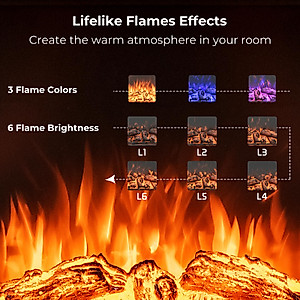 GOFLAME 26-Inch Electric Fireplace Insert, Wall Recessed Fireplace Heater with Thermostat, 3 Flame Colors, 6 Flame Brightness, 6H Timer, Remote Control, Overheat Protection, 750W/1500W