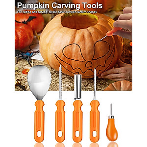 Luditek Halloween Pumpkin Carving Tools, Halloween Jack-O-Lanterns 11 Piece Professional Stainless Steel Pumpkin Carving Kit, Pumpkin Cutting Supplies Tools Kit for Adults Kids