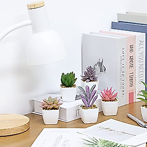 CEWOR 9pcs Artificial Succulent Plants in Pots, Faux Succulents Small Potted Fake Plants with Plastic Pots for Office Home Desk Shelves Bedroom Decoration