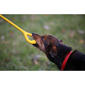 Jersey Dog Co Ultimate Dog Tug Toy, Dog Pull Toy, Tug of War Dog Toy, Safe Dog Chew Toys, Made in The USA Rubber Dog Toy 23” Long