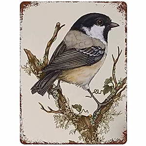 Metal Vintage Tin Sign Decor Chickadee Bird Tin Sign Chickadee Sign Bird Tin Sign Wildlife Wall Decor Wall Poster Plaque for Home Kitchen Bar Pub Club Coffee Shop Decor 8x12 Inch