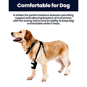 LufeLux Dog Elbow Protector, Padded Elbow Brace for Canine, Shoulder Support Protection for Callus, Hygroma, Dysplasia, Arthritis, Osteoarthritis, Pressure Sores, Avoid Cone of Shame