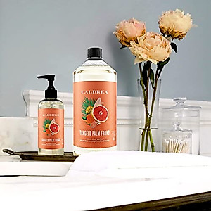 Caldrea Hand Soap Refill, Aloe Vera Gel, Olive Oil And Essential Oils To Cleanse And Condition, Tangelo Palm Frond Scent, 32 Oz
