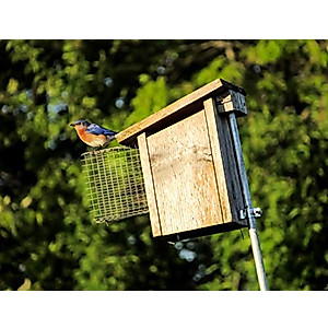 Flowing River Farm- Bird House Wire Entrance Predator Guard