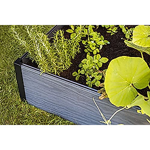 Keter Maple Raised Garden Bed, Durable Outdoor Planter for Vegetables, Flowers, Herbs, and Succulents, Grey