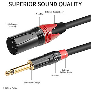 Disino Dual 1/4 inch to XLR Male Y Splitter Cable,Male XLR to Dual 6.35mm TS Mono Plug Microphone Audio Converter Adapter - 3.3 feet