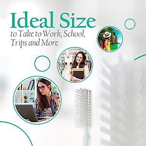 STANLEY HOME PRODUCTS Essentials Ladies Hairbrush - Durable Nylon Block & Bristles - Premium Quality 5 Row Hair Brush Glider - Designed for All Hair Types