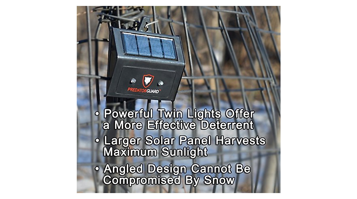 Solar Predator Deterrent Light for Safe Animal Protection | PREDATORGUARD