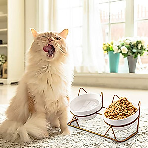 Trosetry Cat Bowls, Double Ceramic Pet Bowls with 15°Tilted Raised Stand for Food and Water, Anti Vomiting Cat Dish Feeder, Perfect for Puppy Cats and Small Dogs(Double Bowls1)