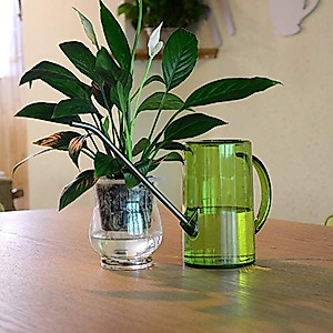 Nerseki 1 Litre/ 35 OZ Long Spout Watering Can for Succulents Bonsai Catus Plants Indoor Outdoor (Green)