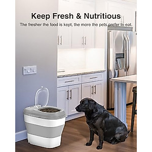 Somkaco Collapsible Food Storage Container with Transparent Lid, Scoop and Wheels, Large food storage for Dog, Cat and Other Pet