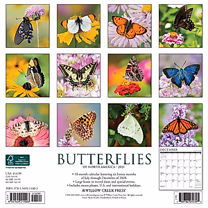 Butterflies 2021 Wall Calendar