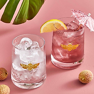 Spode Creatures of Curiosity Collection Double Old-Fashioned Glasses Set of 2, 11-Ounce, Glass Tumbler, Gold Moth Detail, Use for Whiskey, Bourbon, or Cocktails