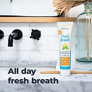 Premium Oxyfresh Lemon Mint Fresh Breath Toothpaste – Low Abrasion Toothpaste for Bad Breath - SLS & Fluoride Free Toothpaste – Anti Plaque & Tartar Control Toothpaste with Essential Oils. 5oz
