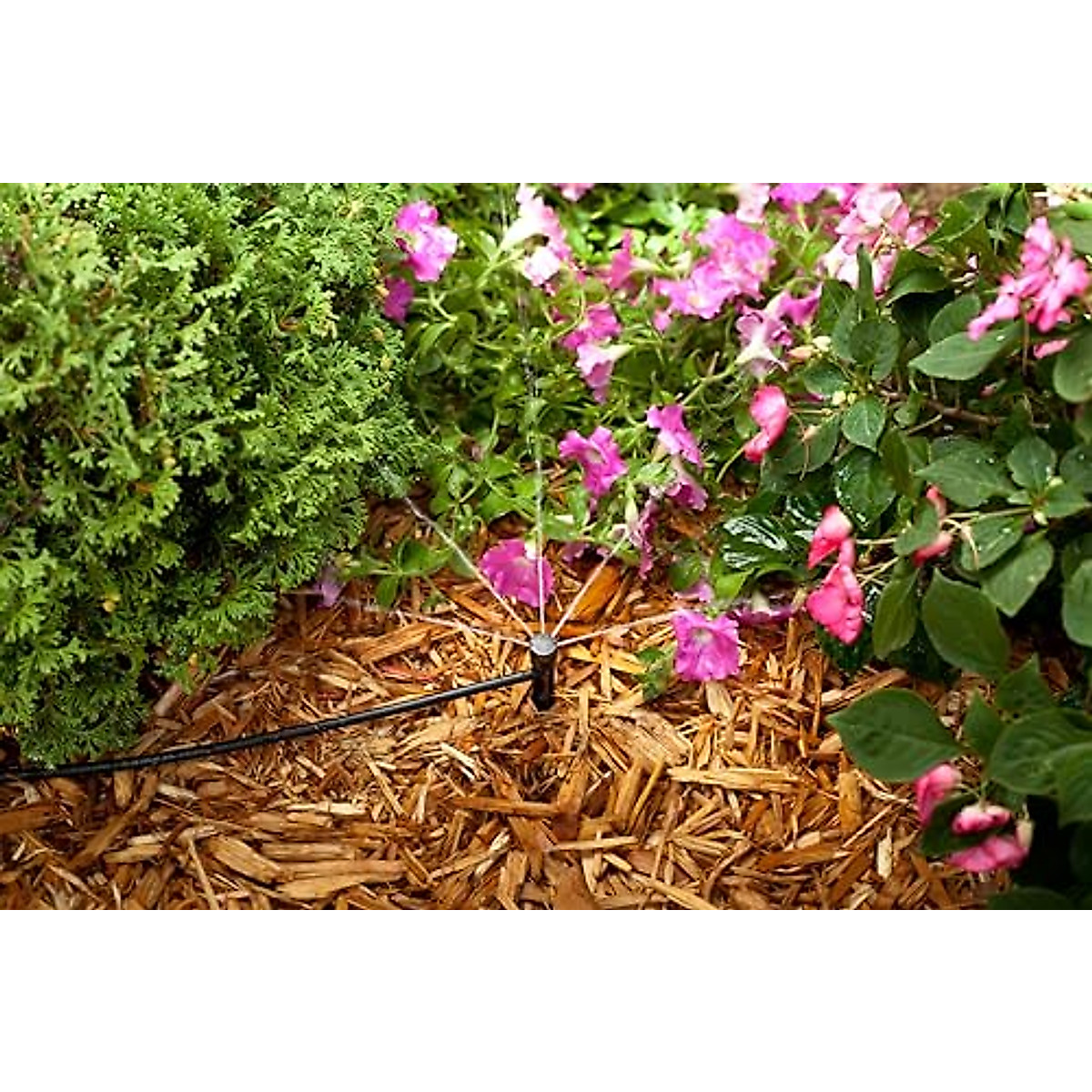 Rain Bird MBH4PKS Drip Irrigation Micro-Bubbler on Stake, 180° Half Circle Pattern, 0 - 3' Spray Distance, 4-Pack