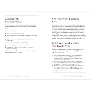 Emotional Intelligence for the Modern Leader: A Guide to Cultivating Effective Leadership and Organizations